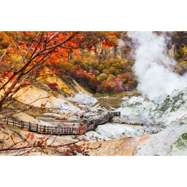 Millwood Pines Jigokudani Hell Valley by Onsuda - Wrapped Canvas Photograph | Wayfair